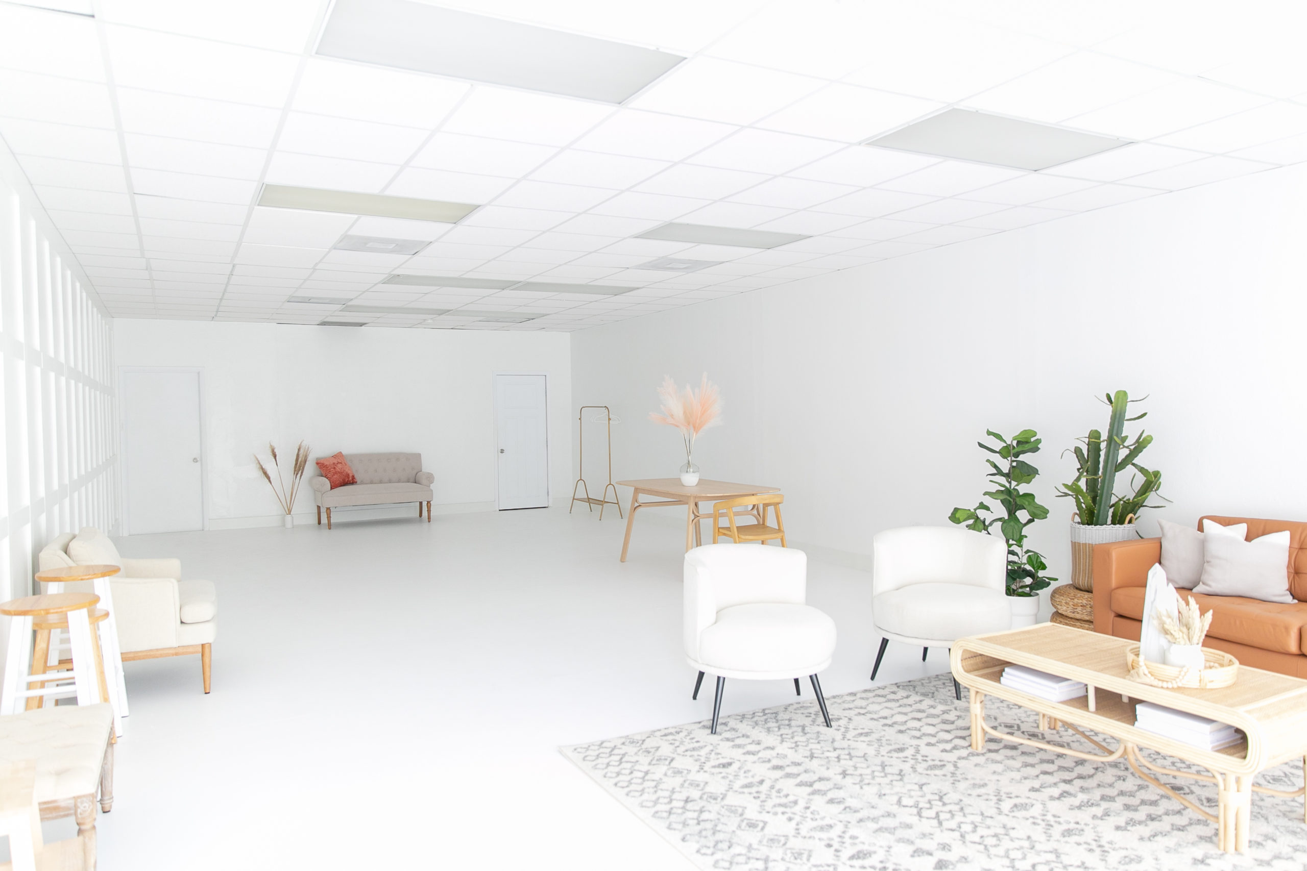 The Brand Studio Orlando a natural light photography studio