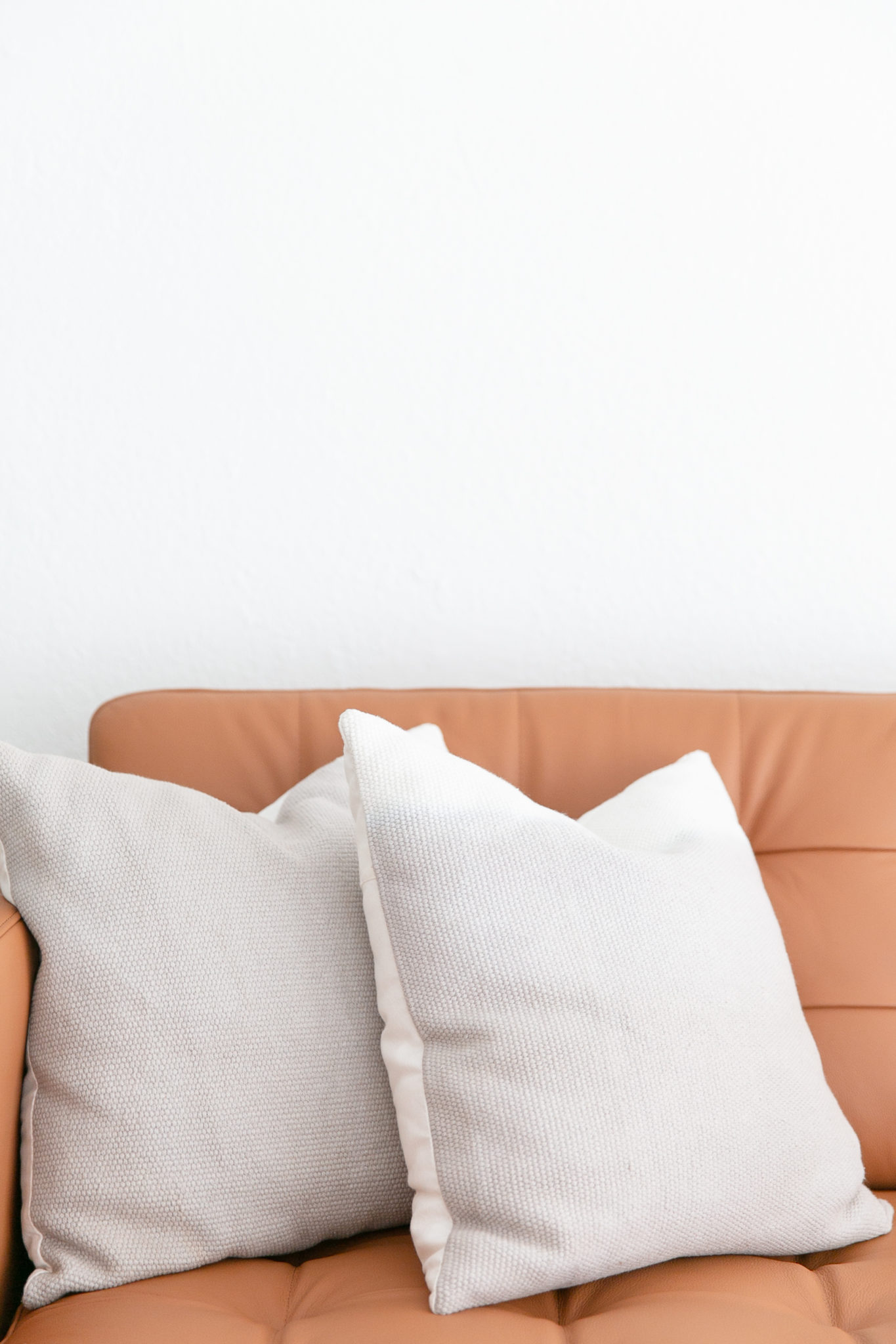 The Brand Studio Orlando a natural light photography studio