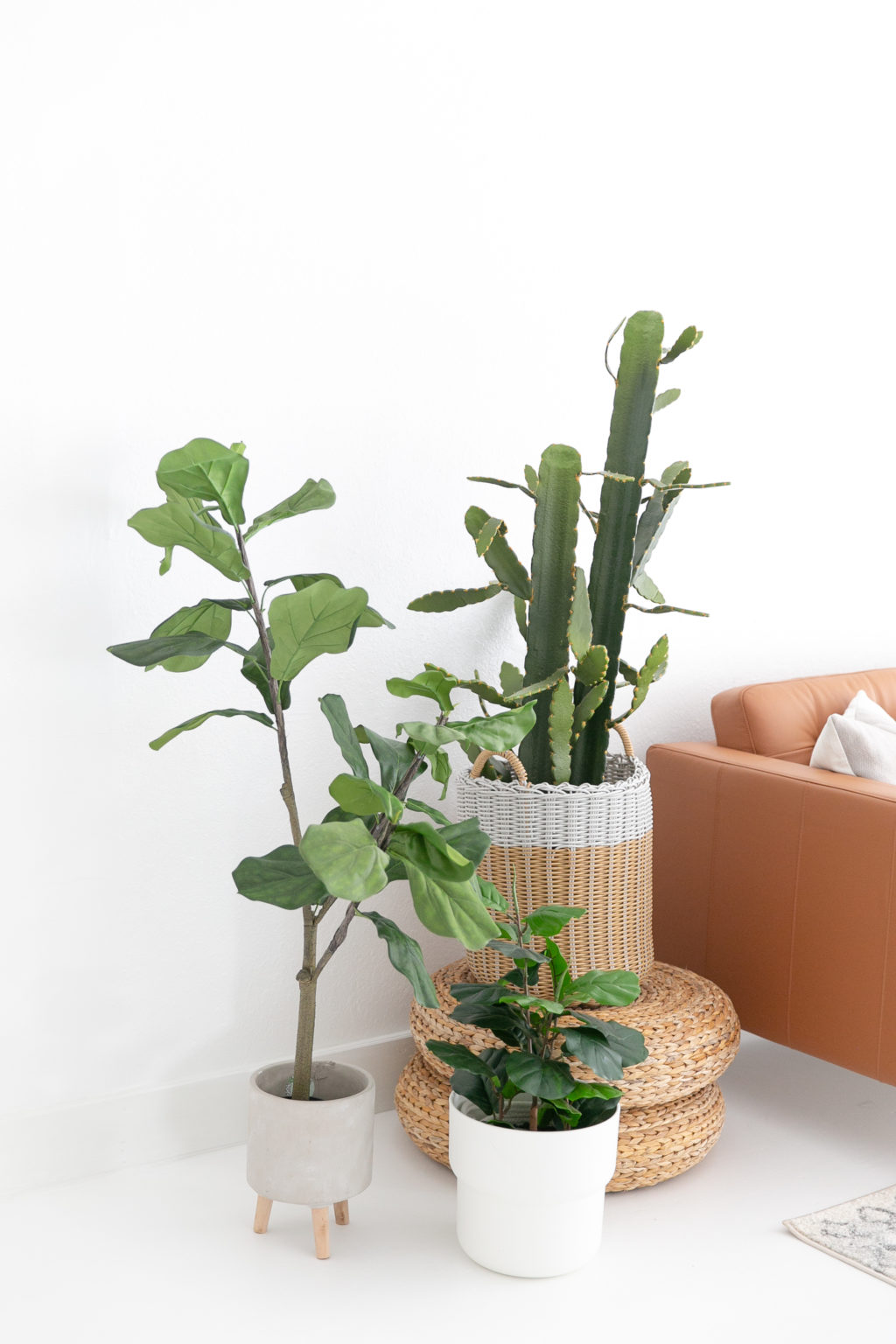 The Brand Studio Orlando a natural light photography studio