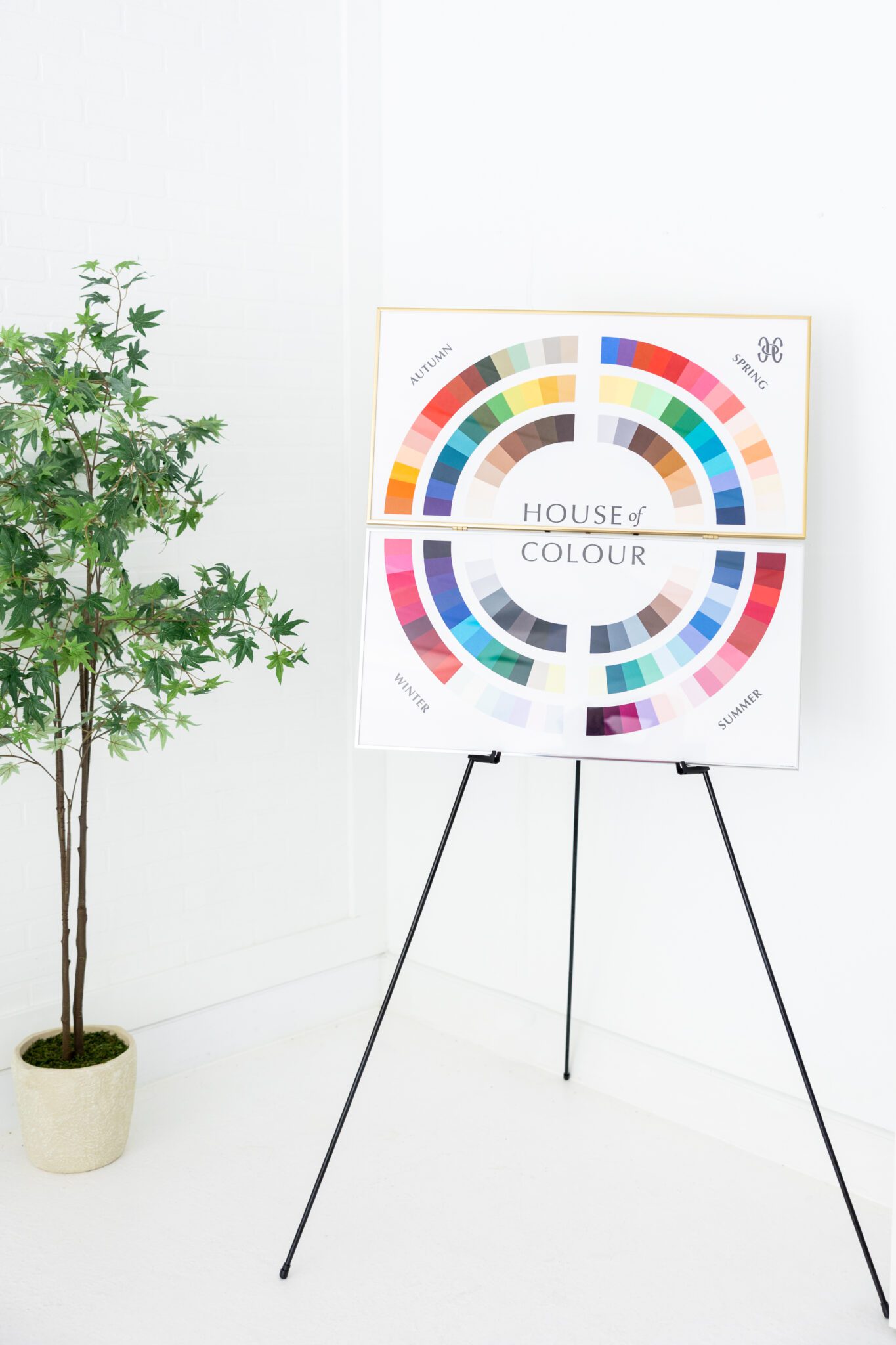 Color analysis specialist Katie of House Of Colour Brand Session