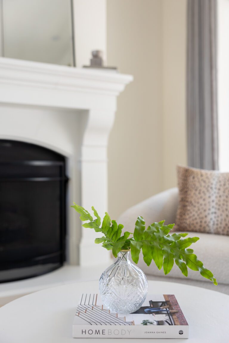 Jacksonville interior designer photo shoot Collins and Co. Interiors