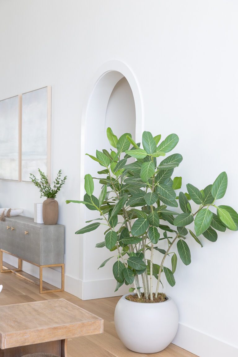 Orlando Interior Designer Residential Photo Shoot Kardinia Interior